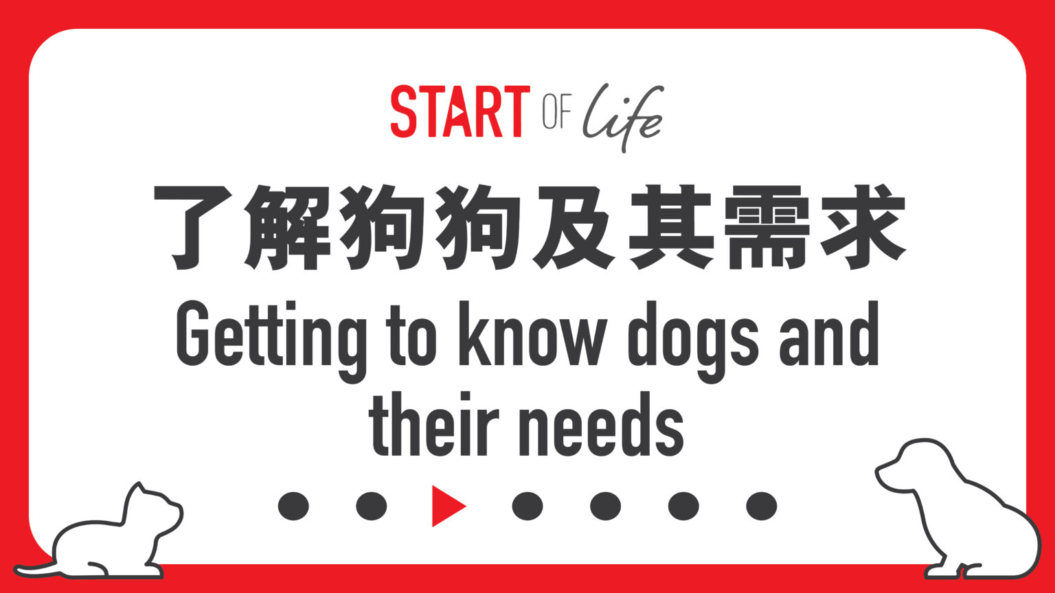 Getting to Know Dogs and Their Needs